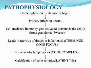 Tuberculosis | PPTX