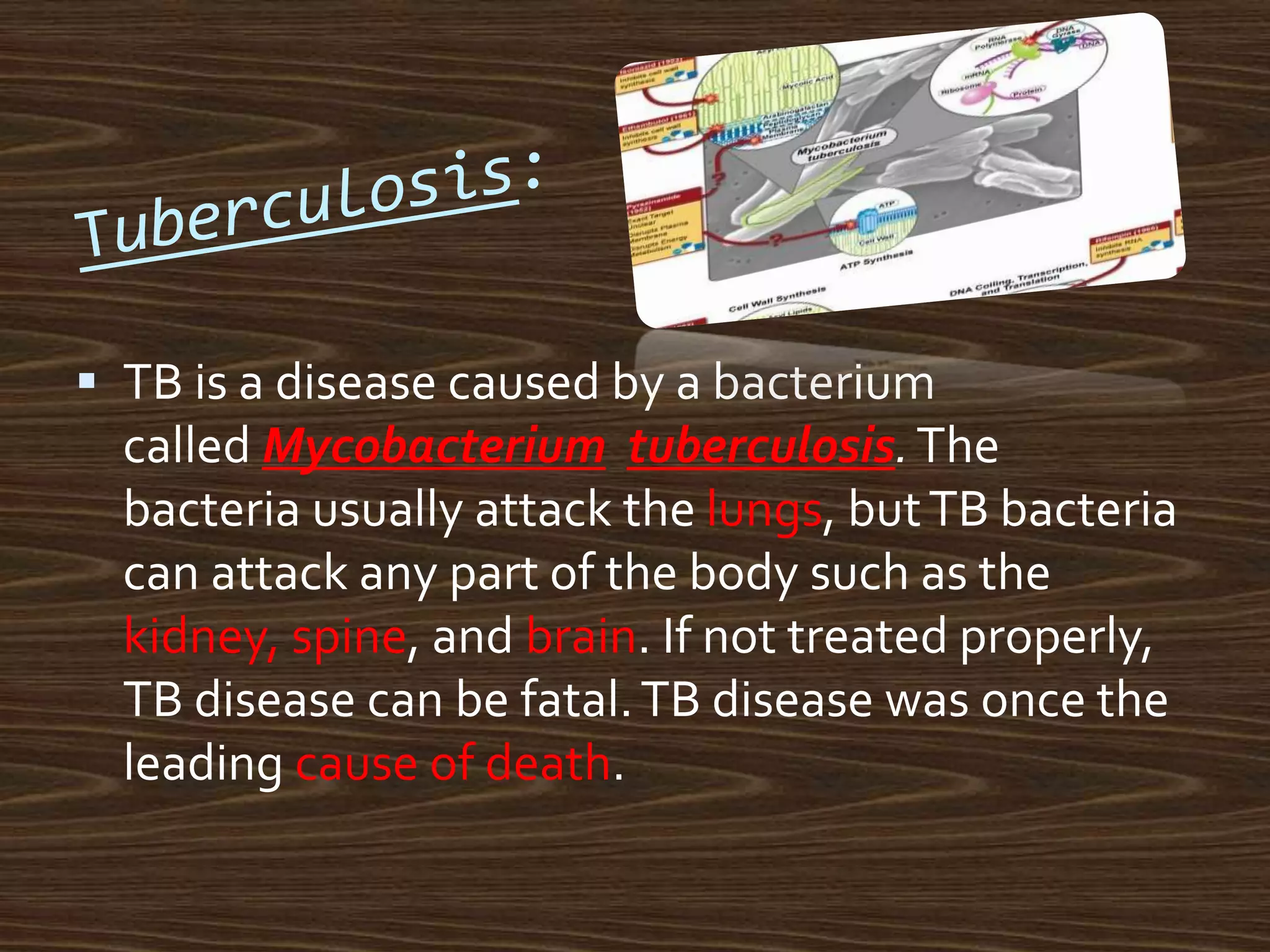 Tuberculosis | PPTX