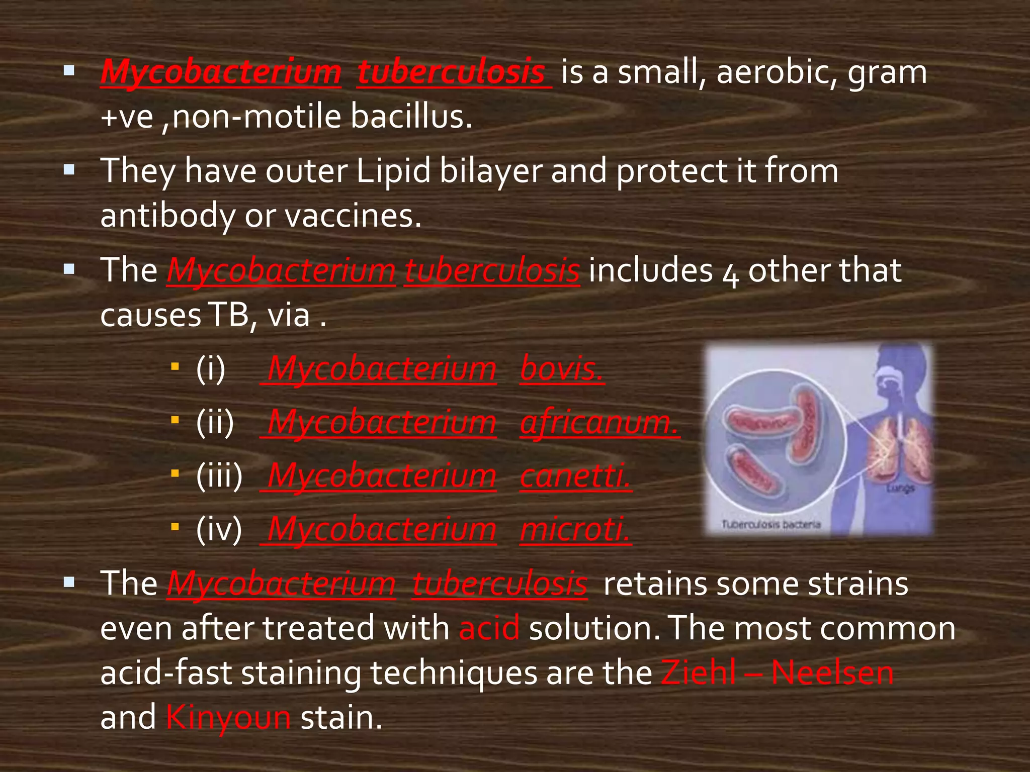 Tuberculosis Pptx