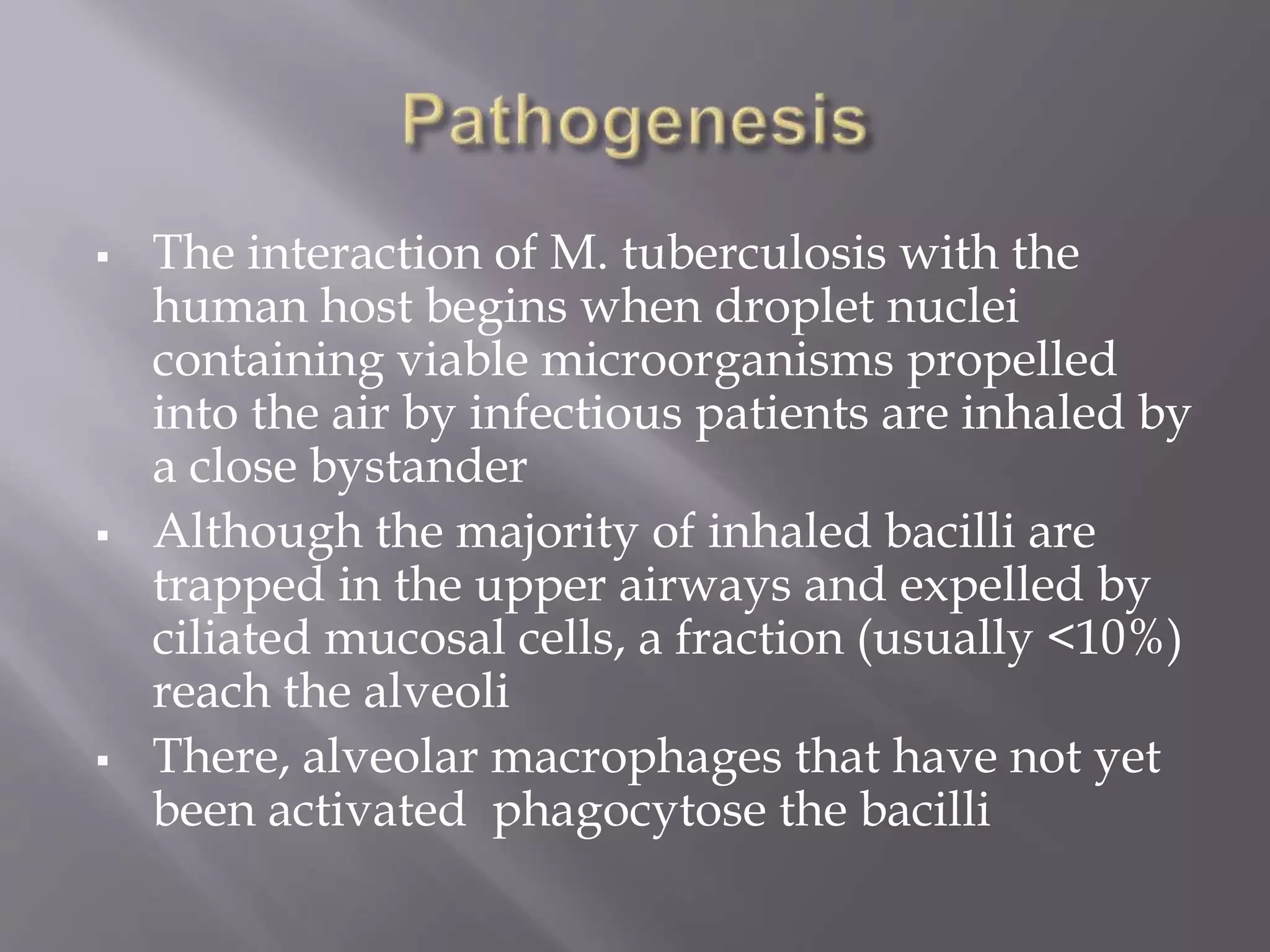 Tuberculosis | PPTX | Infectious Diseases | Diseases and Conditions