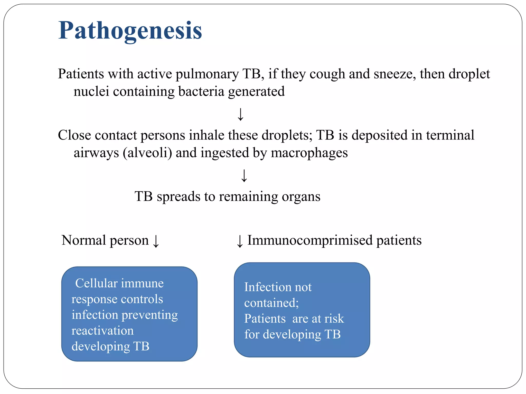 Tuberculosis | PPTX