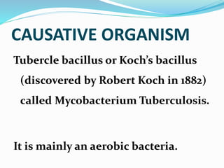 Tuberculosis | PPTX | Lung and Respiratory Health | Diseases and Conditions