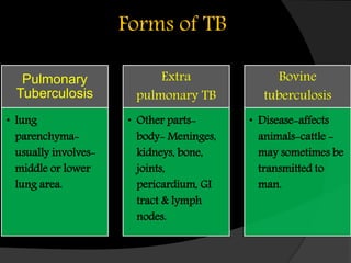 Tuberculosis | PPTX