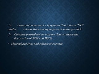 Tuberculosis-2.pptx