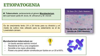 Tuberculosis en pediatría | PPTX