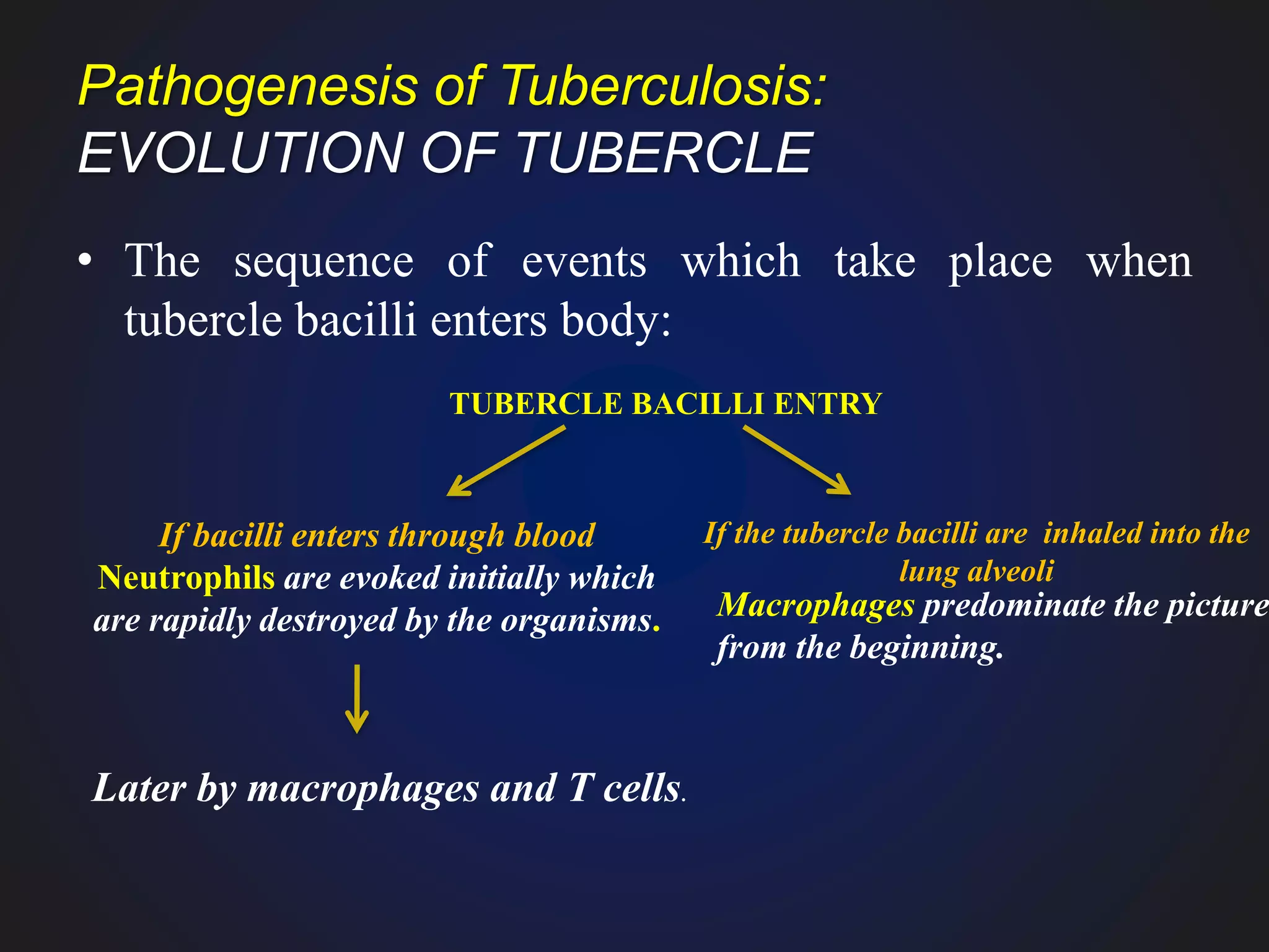 Tuberculosis | PPSX