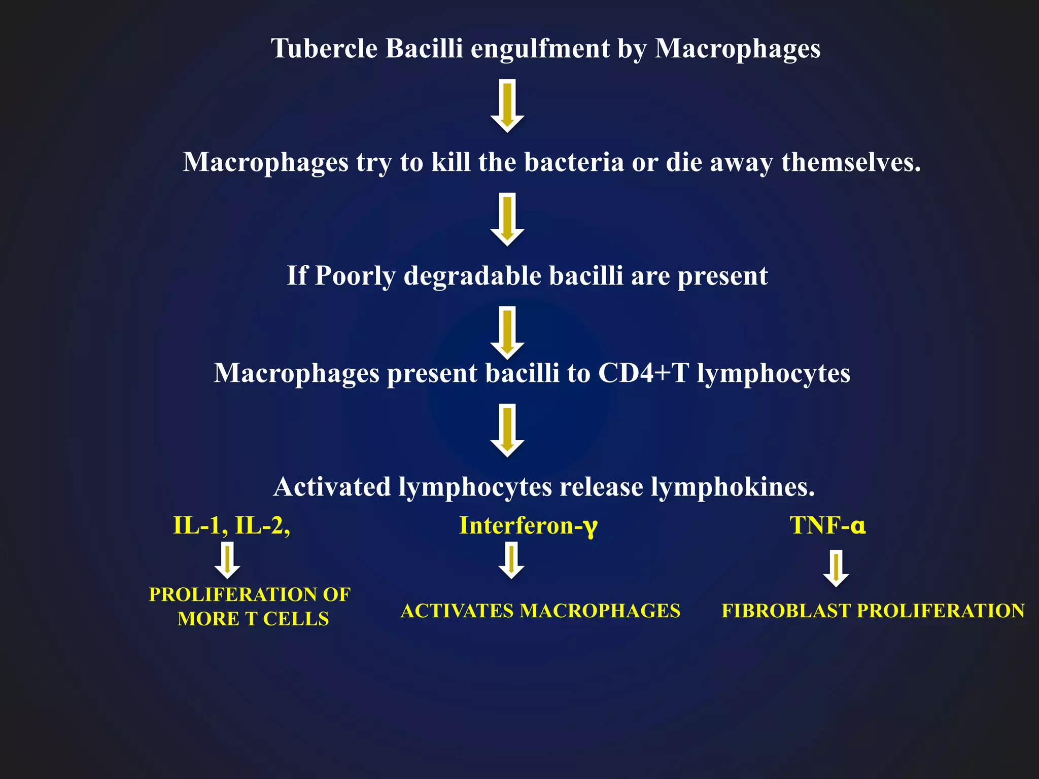 Tuberculosis | PPTX
