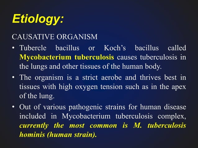 Tuberculosis | PPTX | Lung and Respiratory Health | Diseases and Conditions