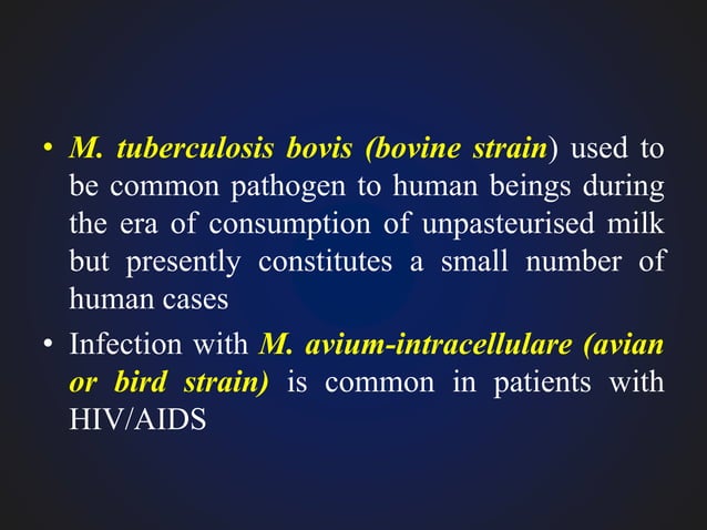 Tuberculosis | PPTX | Lung and Respiratory Health | Diseases and Conditions