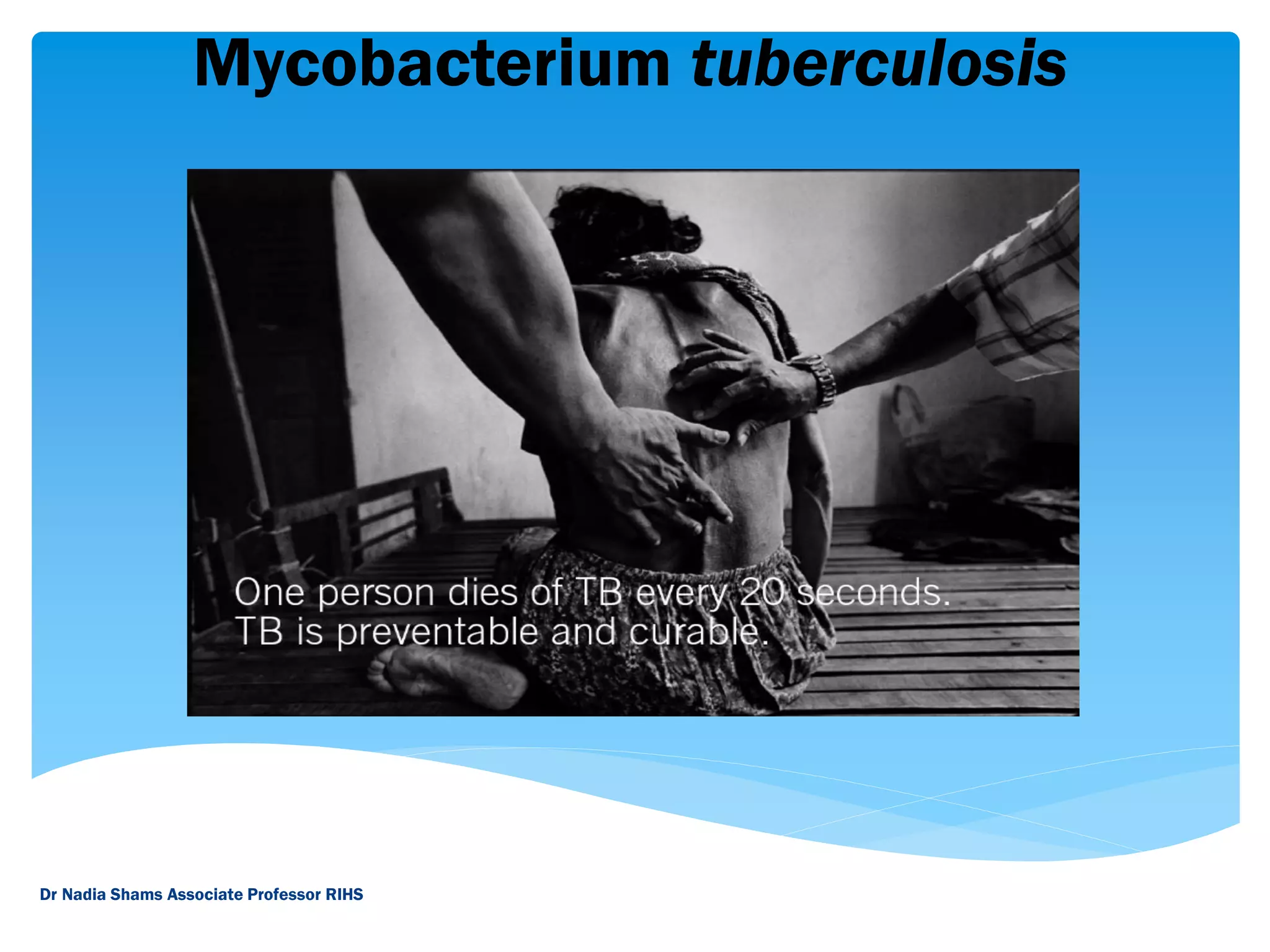 Tuberculosis | PDF