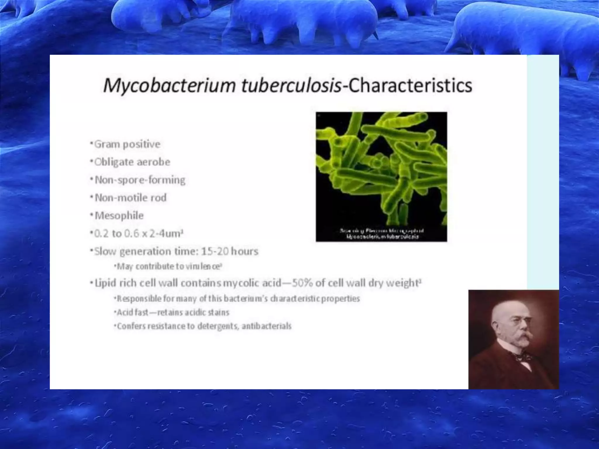 Pathophysiology Tuberculosis | PPTX