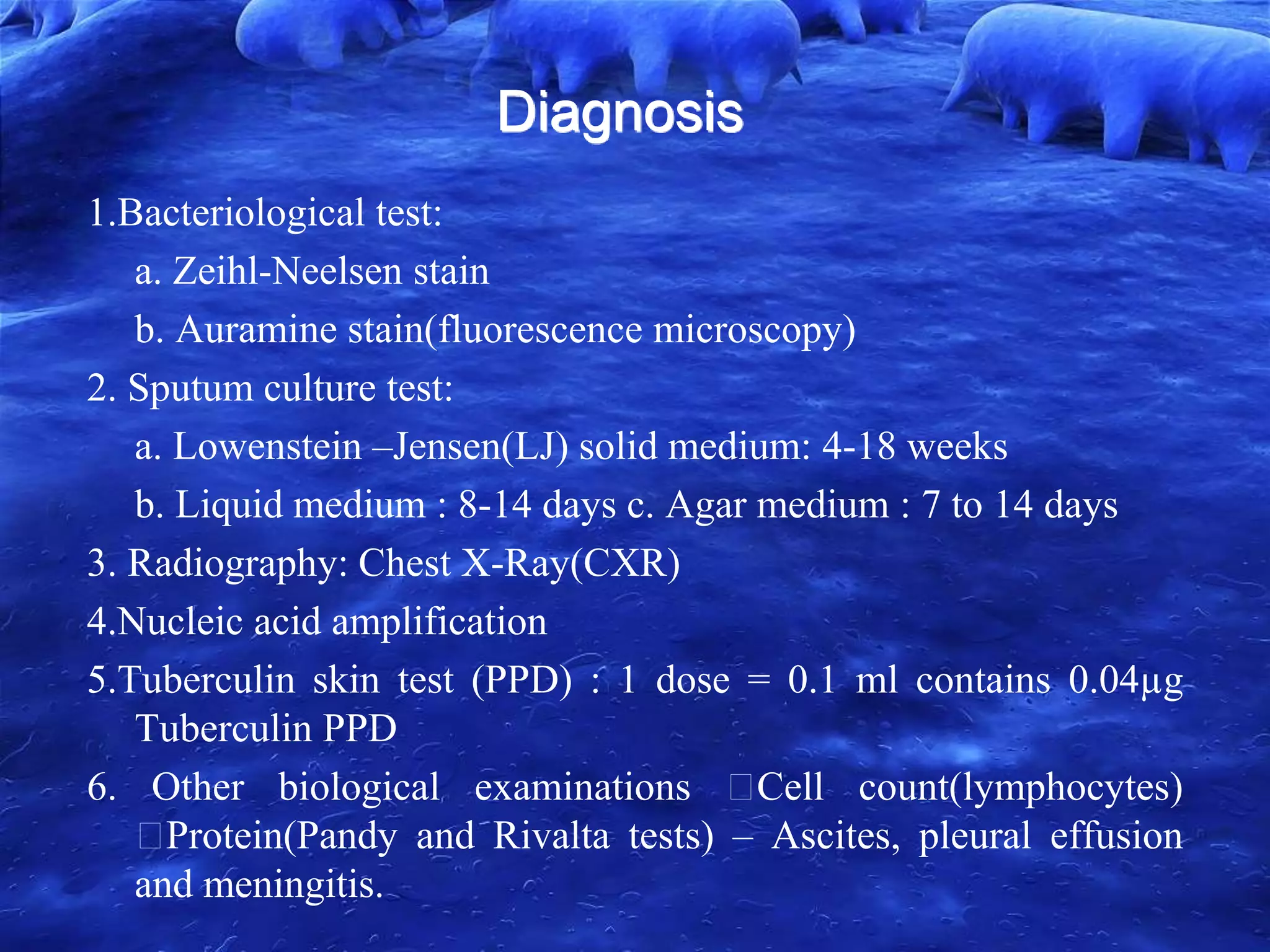 Pathophysiology Tuberculosis | PPTX