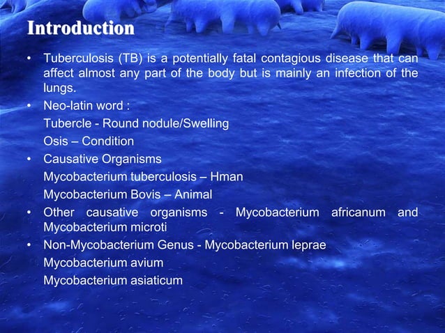 Pathophysiology Tuberculosis | PPTX