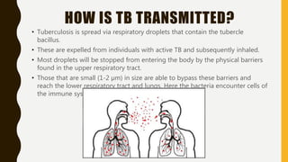 Tuberculosis | PPTX