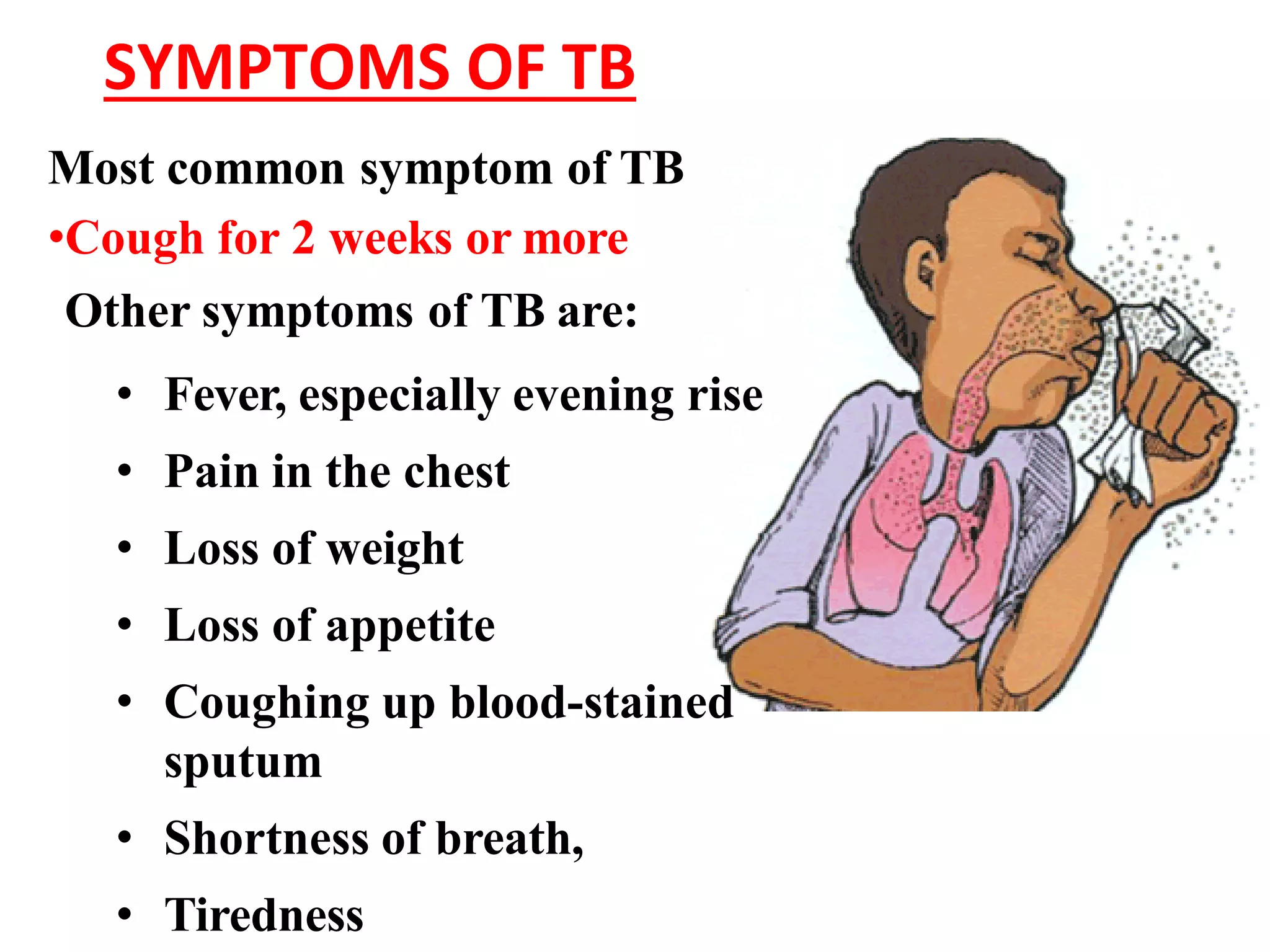 Tuberculosis | PDF | Lung and Respiratory Health | Diseases and Conditions