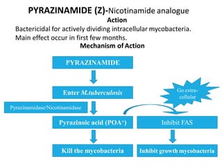 Tuberculosis | PDF