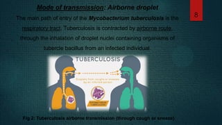 Tuberculosis presentation and report 2020 | PDF