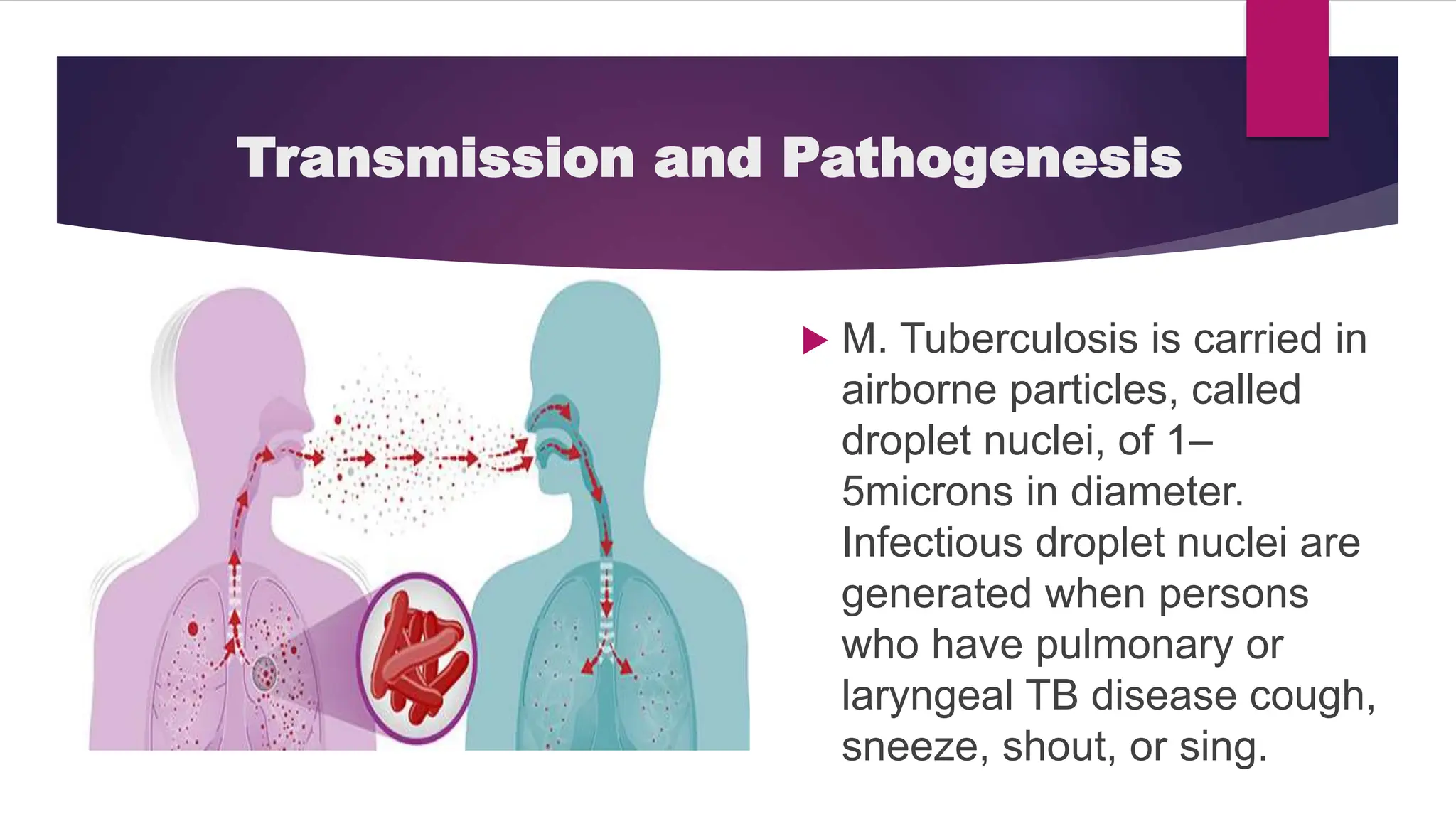 Introduction ot Tuberculosis disease (TB) | PPTX