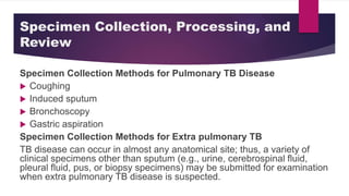 Introduction ot Tuberculosis disease (TB) | PPTX
