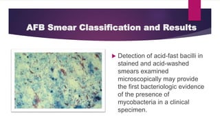 Introduction ot Tuberculosis disease (TB) | PPTX