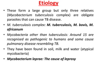 Tuberculosis.pptx | Infectious Diseases | Diseases and Conditions