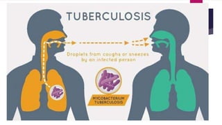 Tuberculosis,its causative agent,mode of spread,symptoms and treatment ...