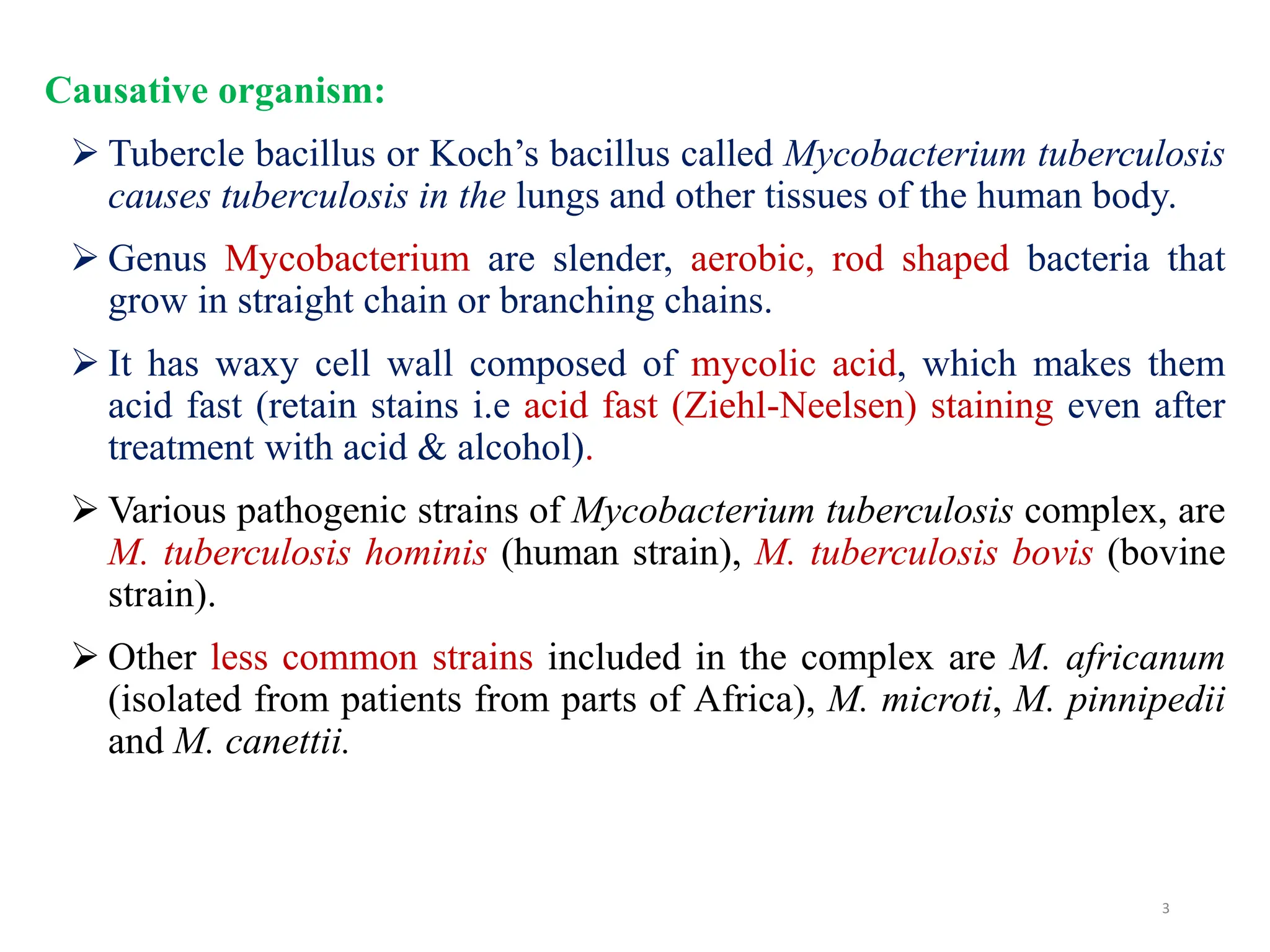 TUBERCULOSIS pharmacology notes types cure | PPTX