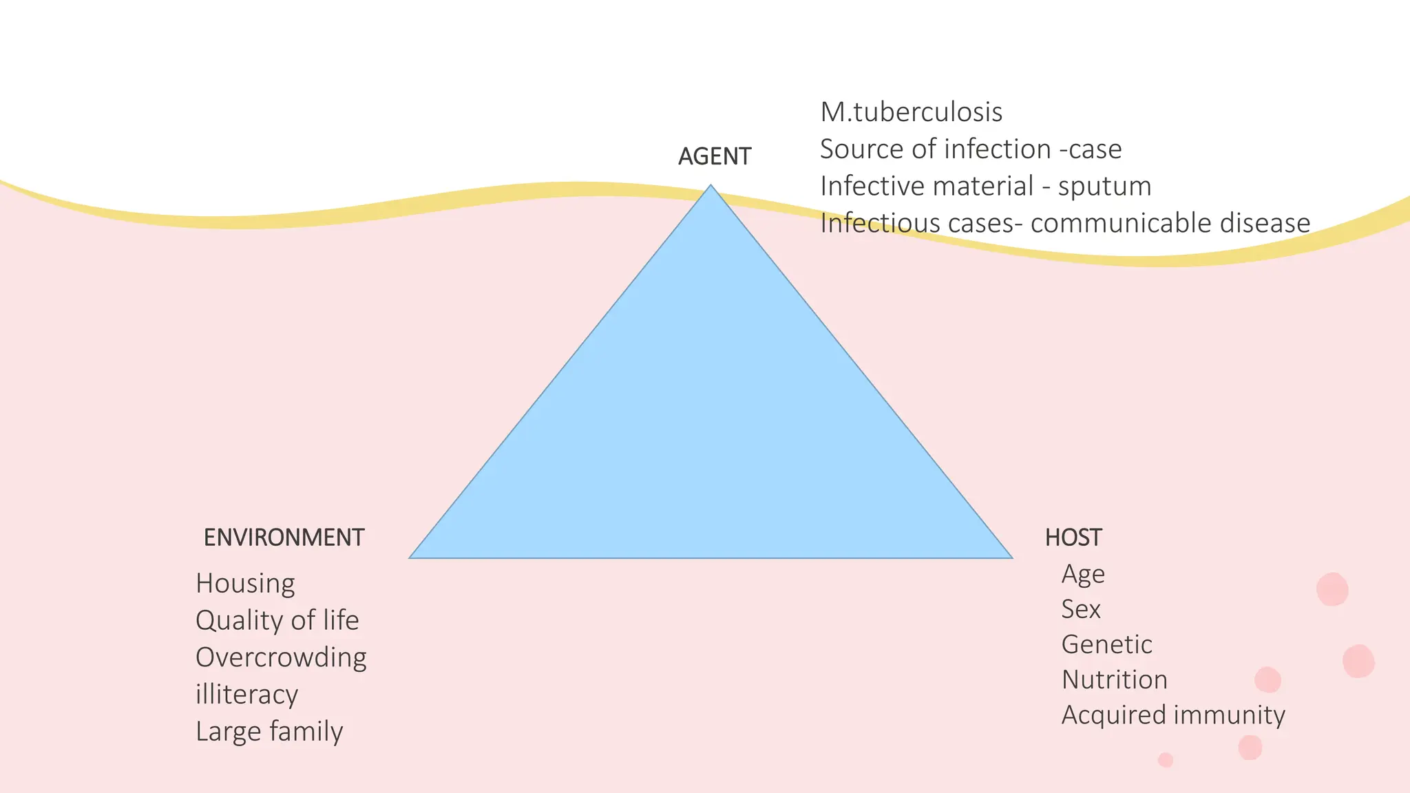 TUBERCULOSIS Community health nursing ppt | PPTX