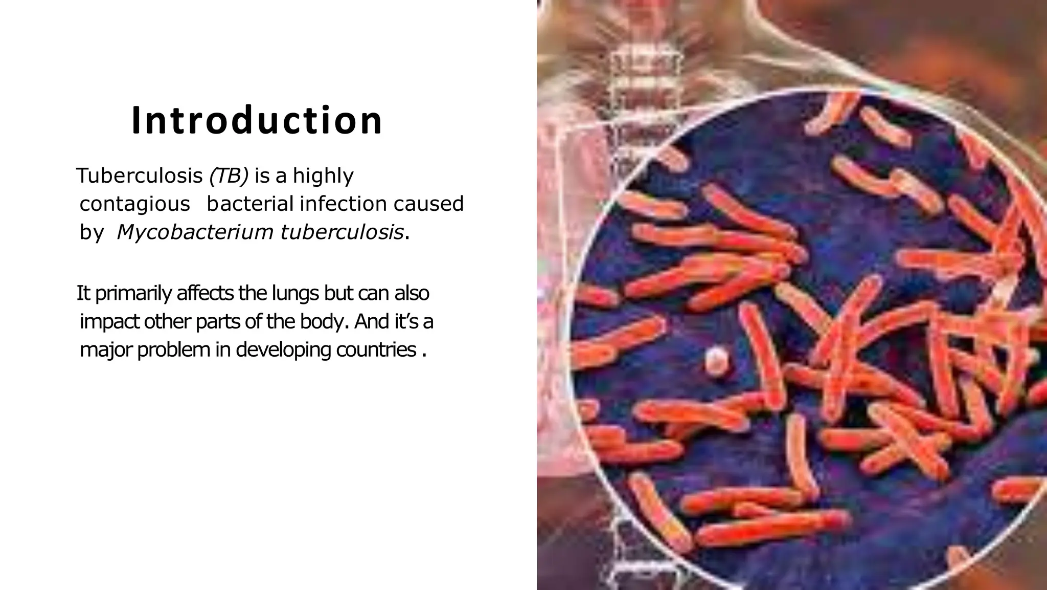 tuberculosis bacteria biochemistryy.pptx