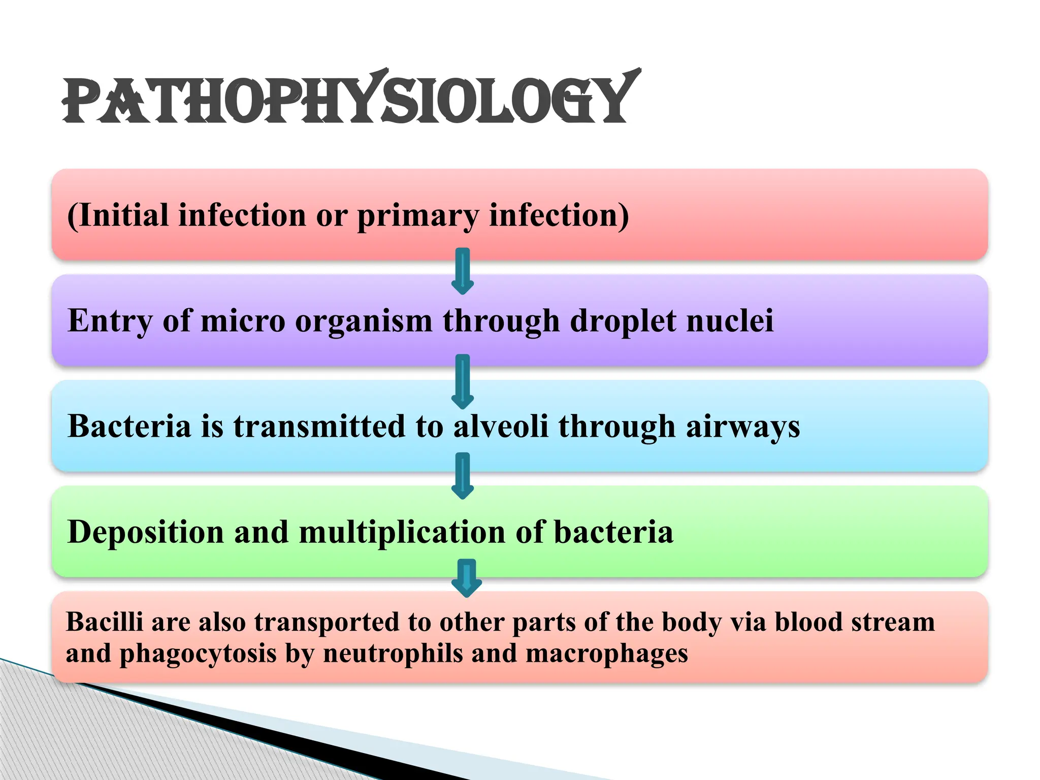Tuberculosis Tuberculosis Tuberculosis Tuberculosis | PPTX