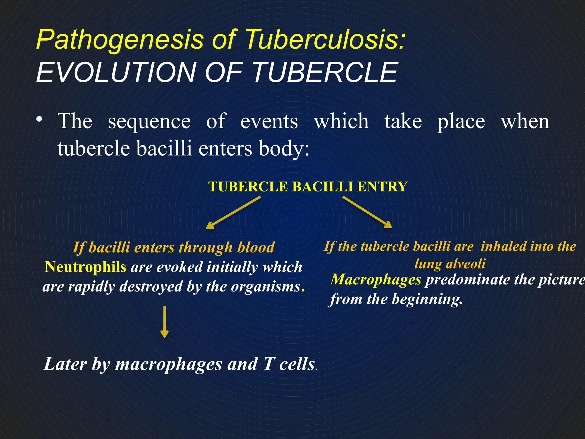 tuberculosis.pptx8888888888888888888888888 | PPTX | Infectious Diseases ...