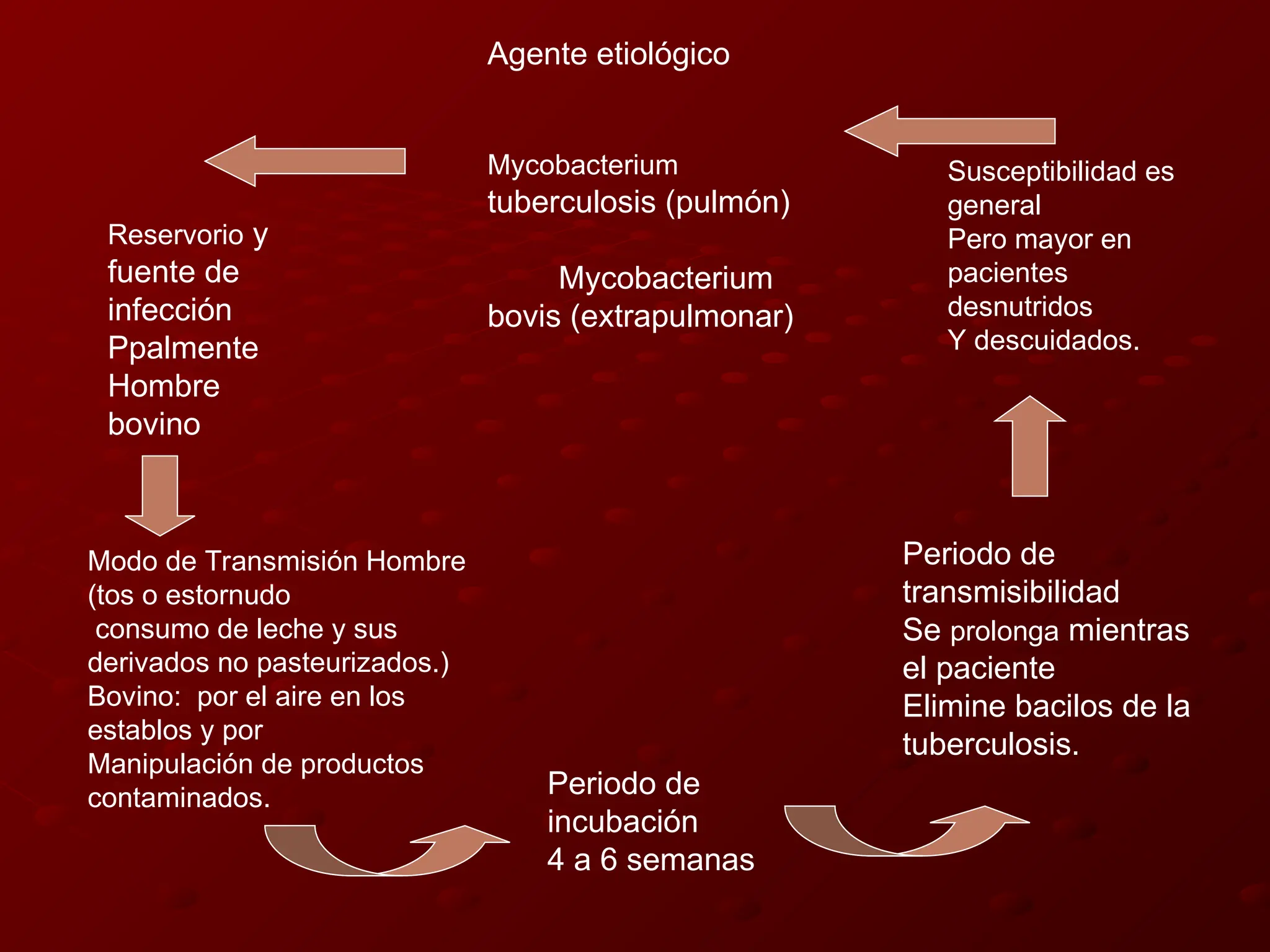 bases y resumen de la Tuberculosis bovina | PPT