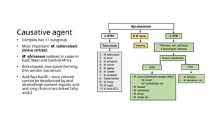 Tuberculosis management, pathophysiology and treatment.pptx