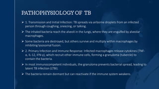 Tuberculosis, Introduction, causes, pathophysiology, treatment | PDF