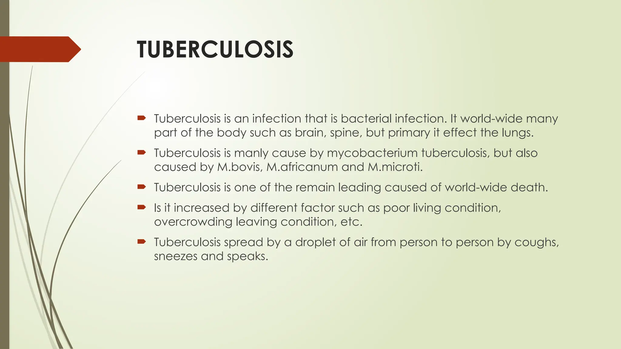 The Tuberculosis (communicable disease ) | PPTX