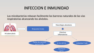 TUBERCULOSIS PULMONAR NEUMOLOGÍA MEDICINA | PPTX