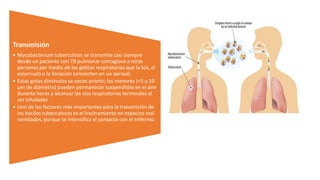 Tuberculosis expo | PPTX