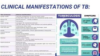 TUBERCULOSIS - complete information ppts | PPT