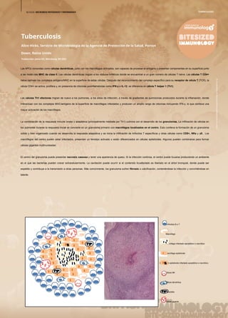 Tuberculosis Pulmonar ficha informativa.pptx