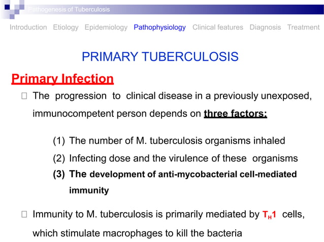 tuberculosis (2).pptx