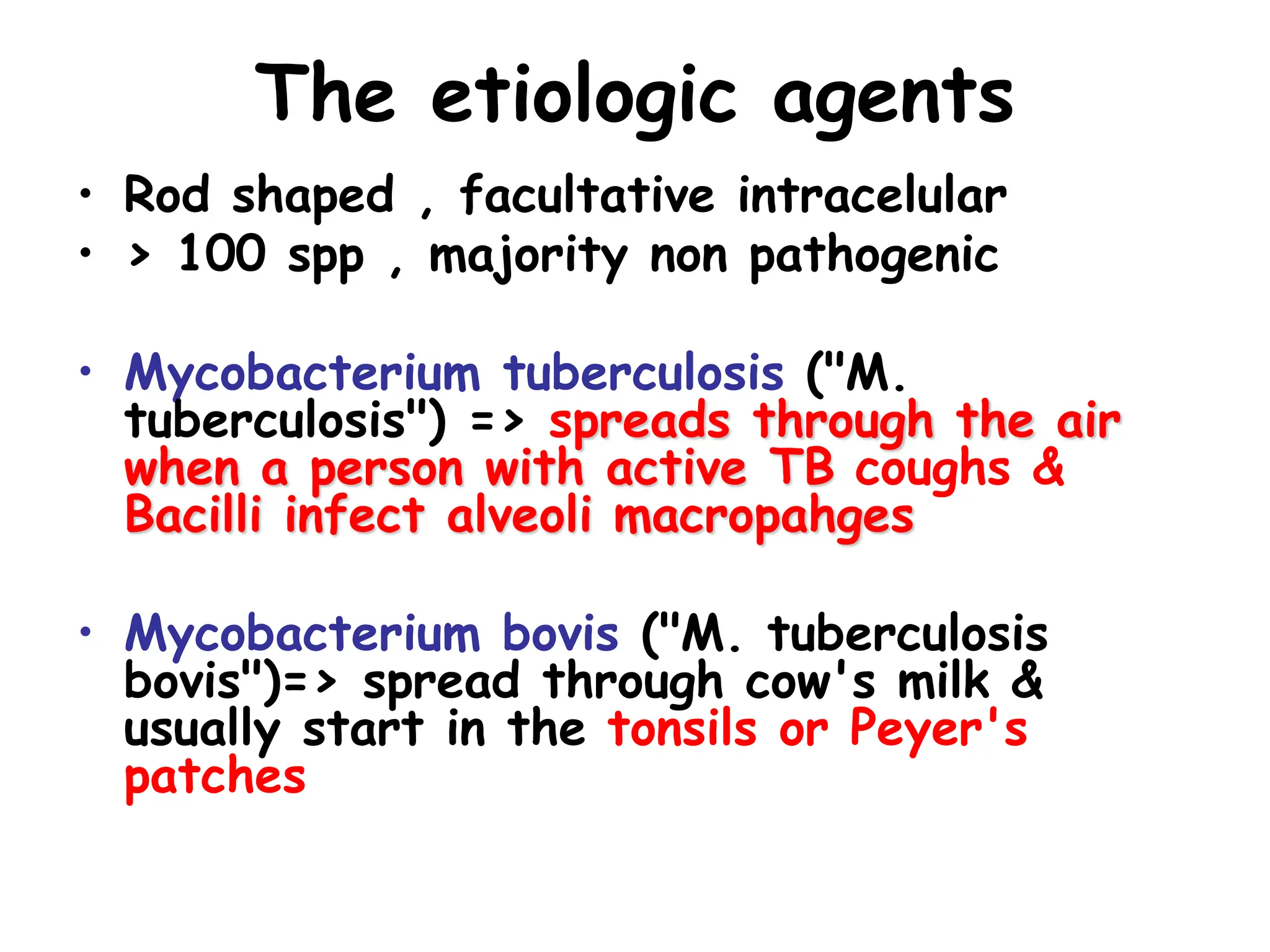Pathology: Tuberculosis - lectures-.pptx