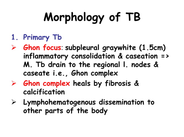 Pathology: Tuberculosis - lectures-.pptx