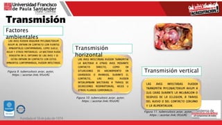 TUBERCULOSIS AVIAR.pptx