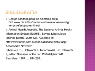 Tuberculosis bovina | PPTX