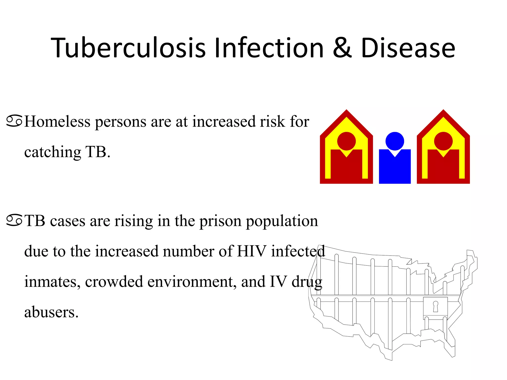 Tuberculosis overview | PPTX