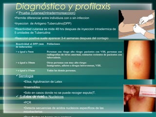 Tuberculosis cutanea i | PPT