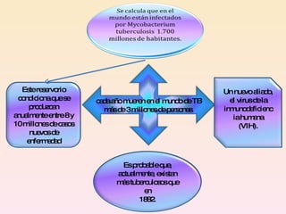 Tuberculosis exposicion | PPT