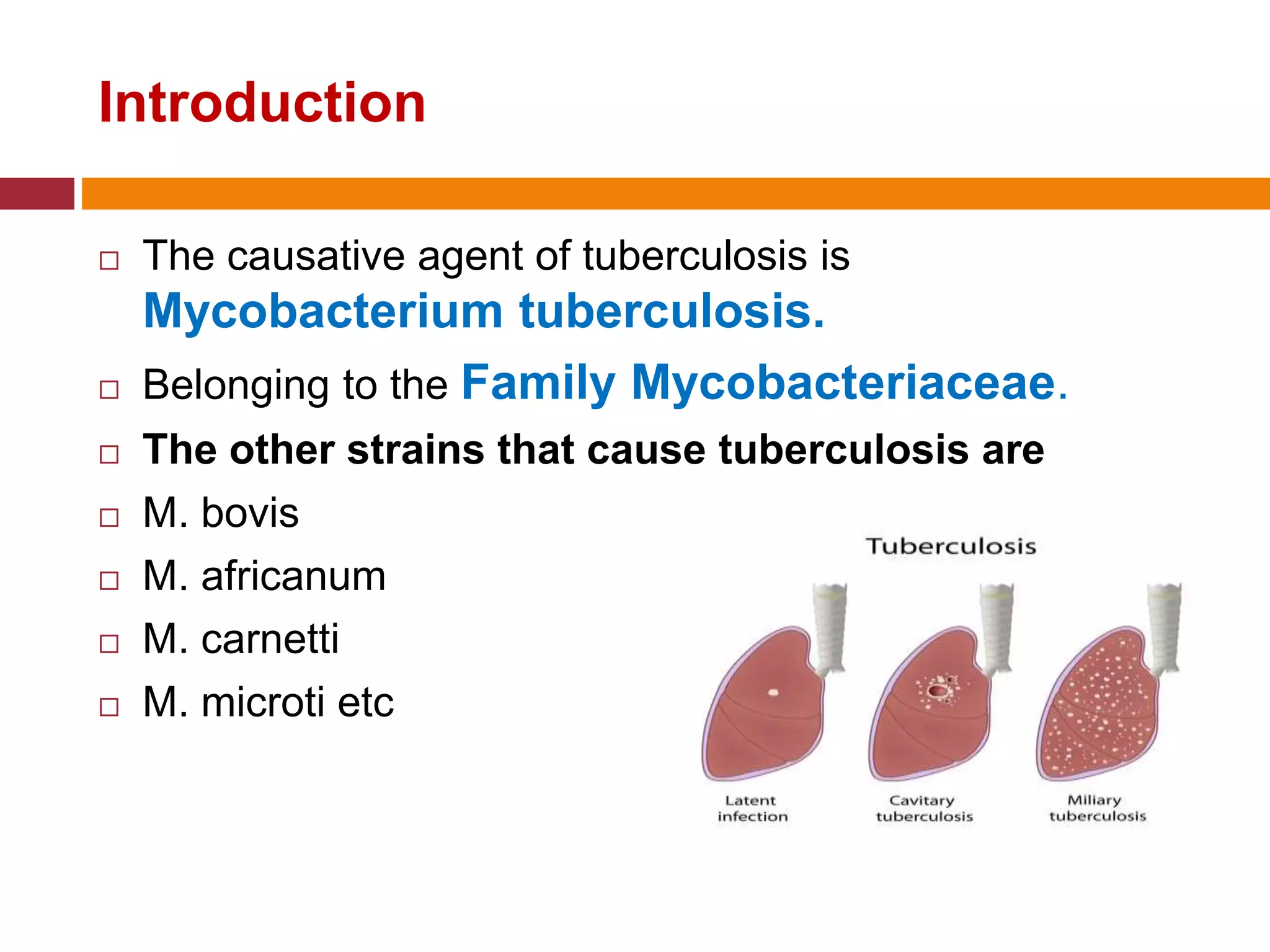 Tuberculosis | PPTX