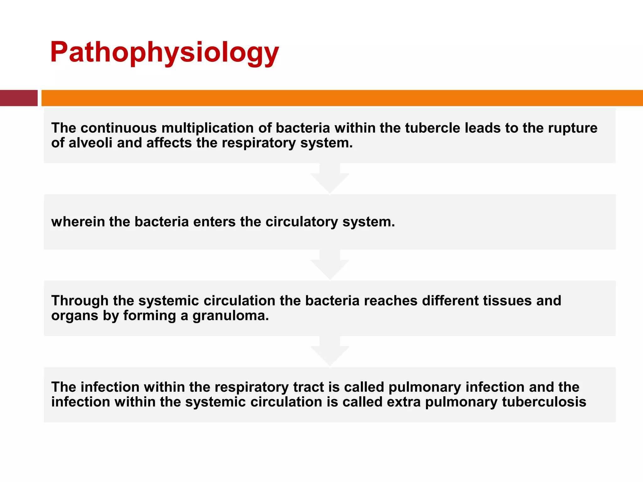 Tuberculosis | PPTX
