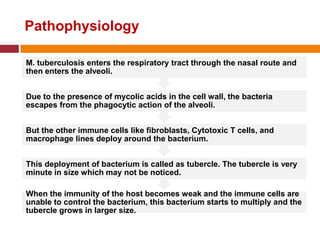 Tuberculosis | PPTX